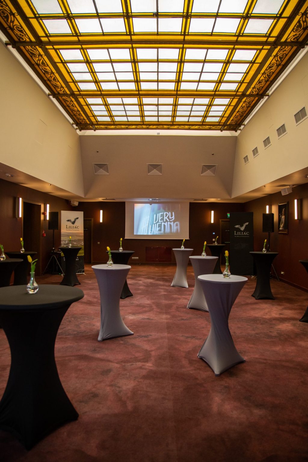 Very_Vienna_Launch