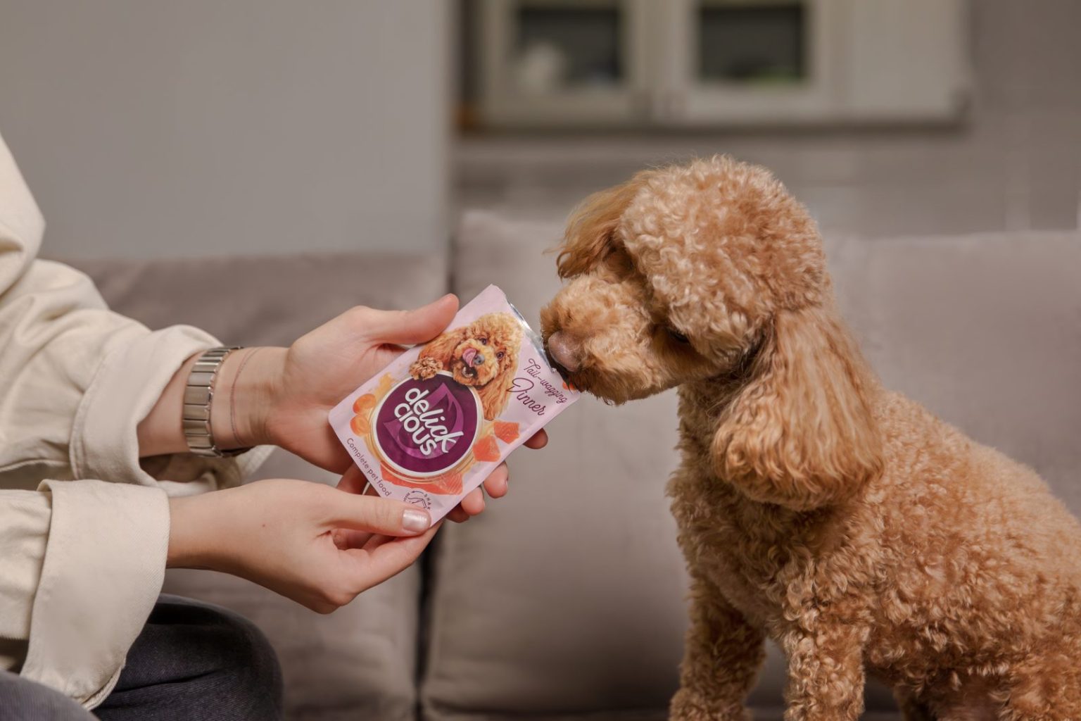 S-a lansat un nou brand de delicii umede pentru pisici şi câini ...
